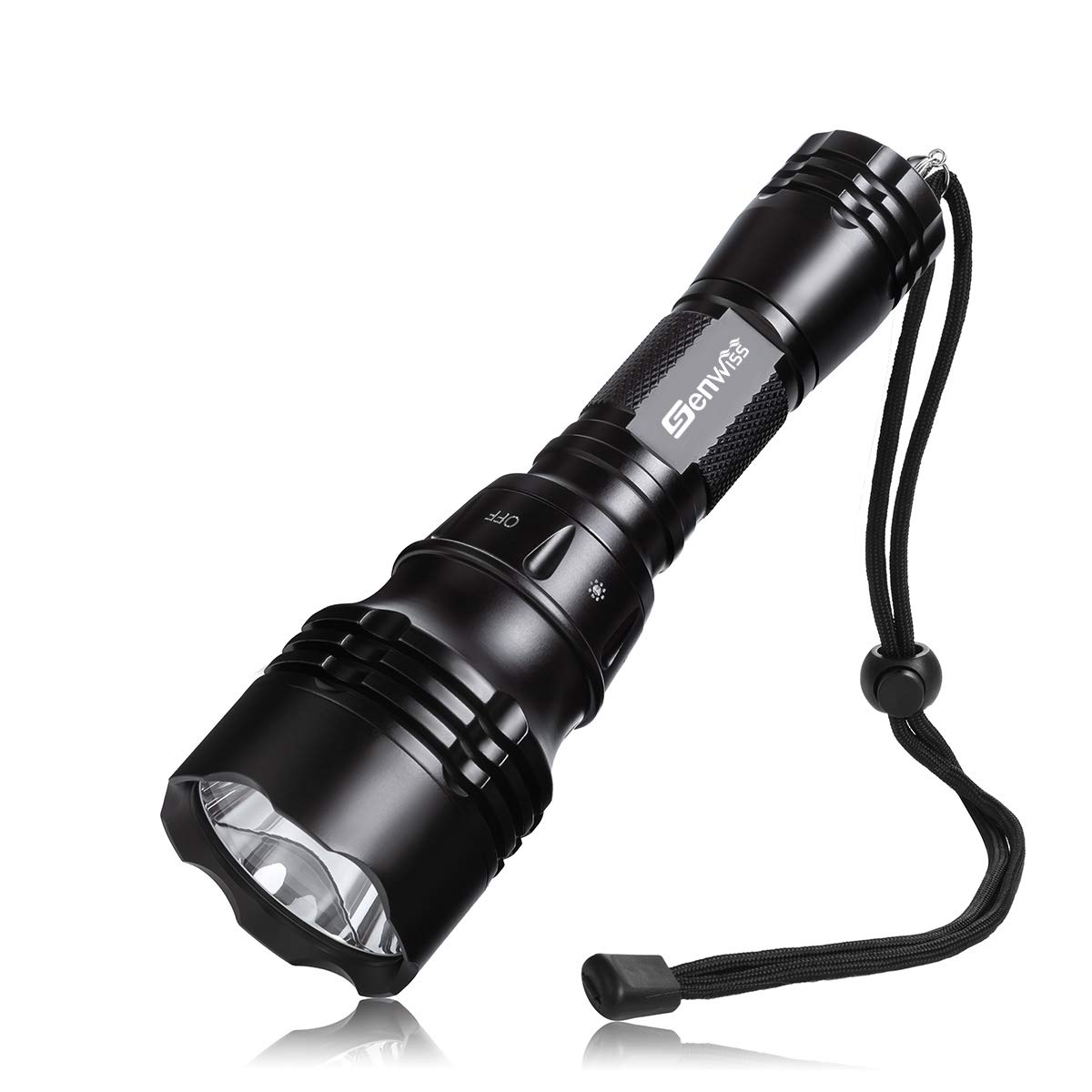 Scuba Diving Lights - Santa Rosa Blue Hole